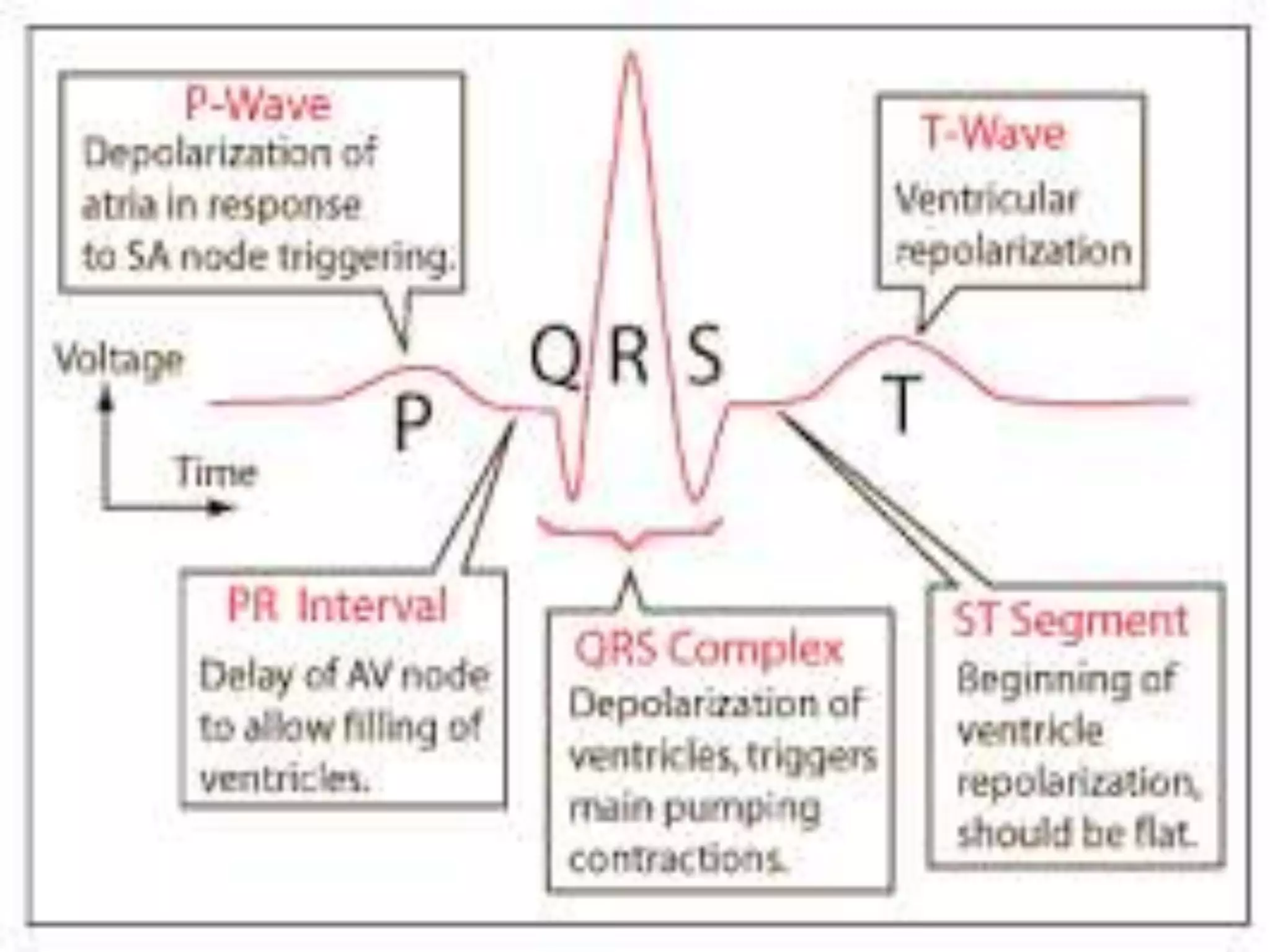 Cardiac cycle topic SlideShare | PPT