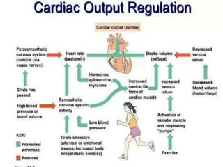 Cardiac cycle topic SlideShare | PPTX