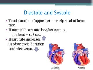 CARDIAC CYCLE-1.pptx