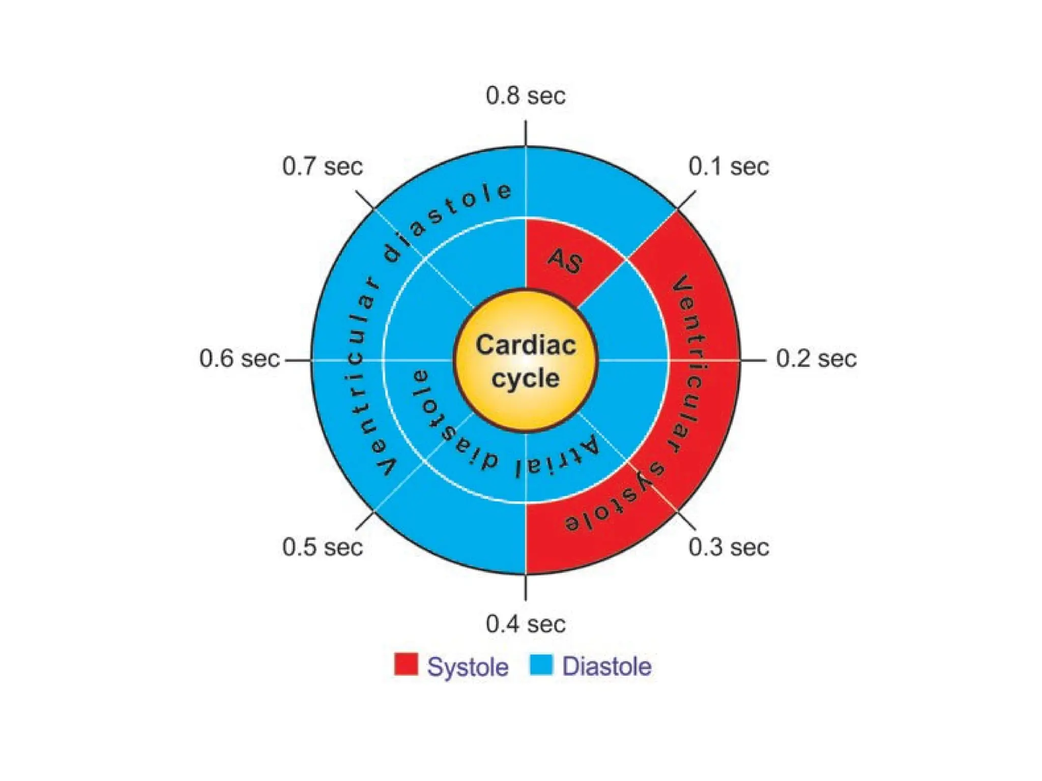Cardiac Cycle-1.pptx for medical students | PPTX