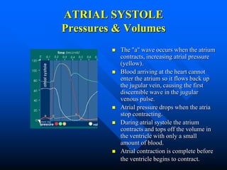 Cardiac cycle | PPT