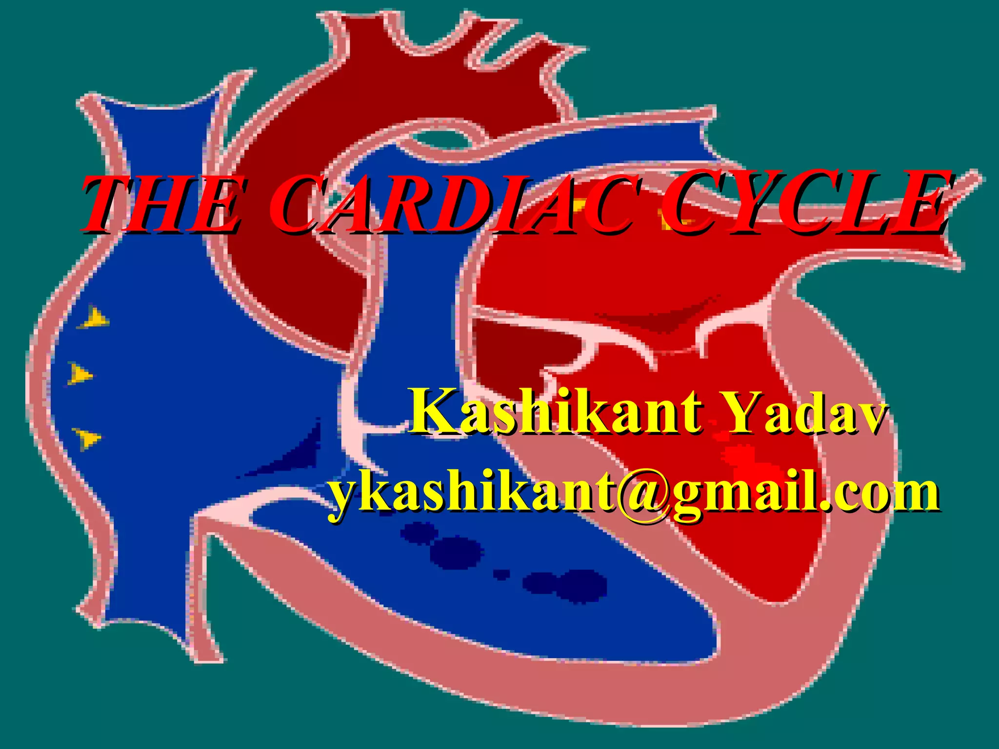 Cardiac cycle | PPT