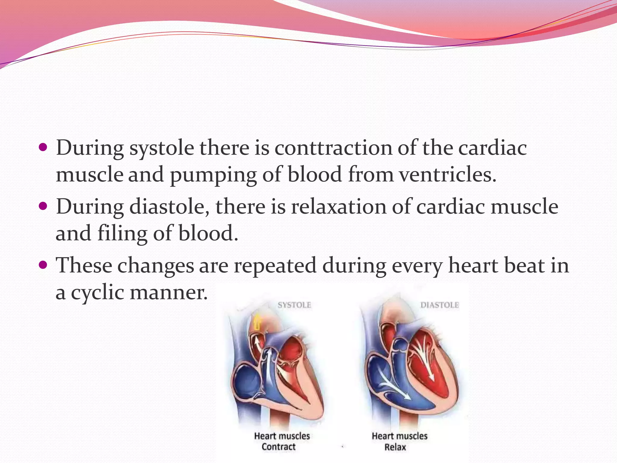 Cardiac cycle | PPTX | Heart and Cardiovascular Diseases | Diseases and ...
