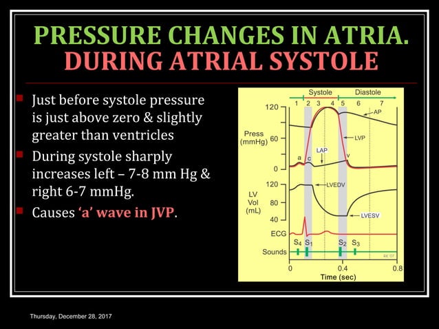 CARDIAC CYCLE | PPT