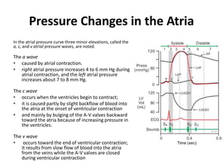 Cardiac cycle made easy | PPTX