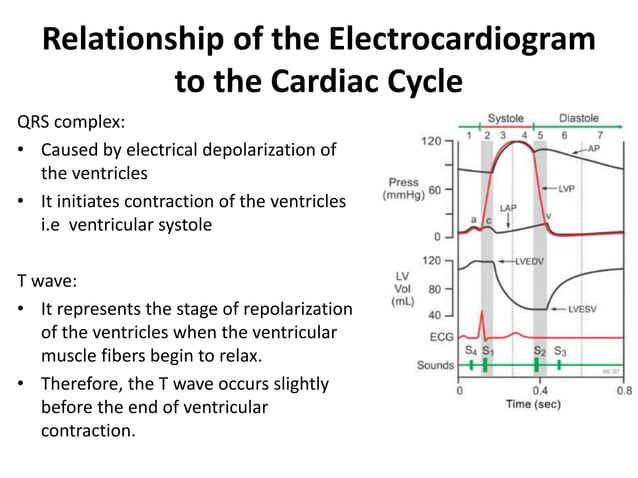 Cardiac cycle made easy | PPTX | Heart and Cardiovascular Diseases ...