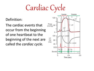 Cardiac Cycle Diagram Explained