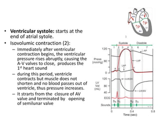 Ventricular Systole