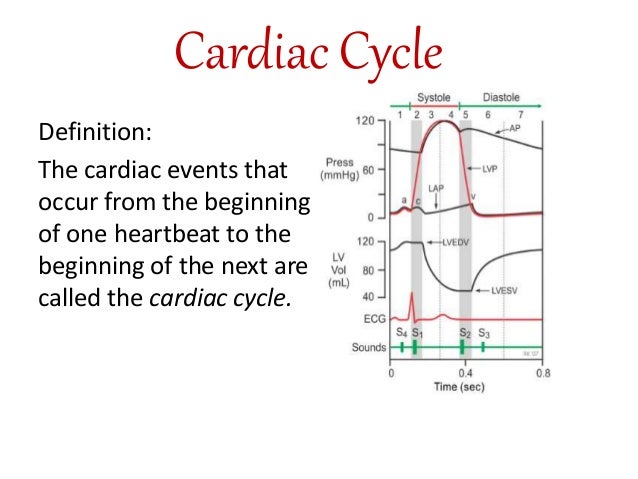 Cardiac cycle made easy