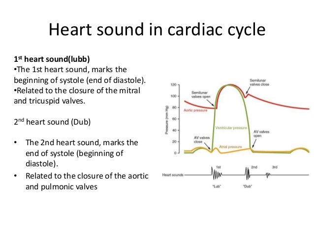 Cardiac cycle made easy