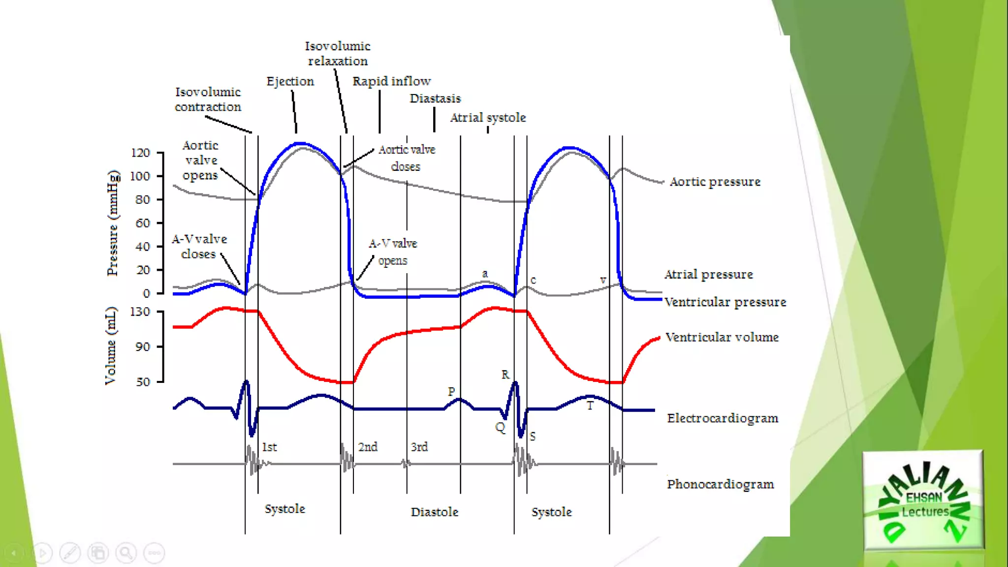 Cardiac cycle | PPTX