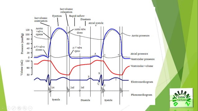 Cardiac cycle | PPTX