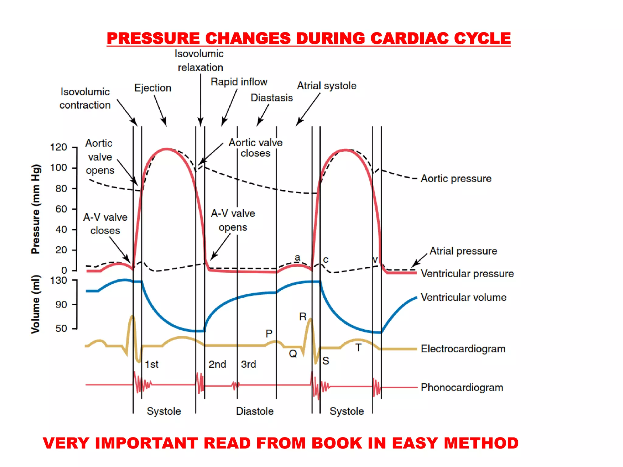 Cardiac cycle-Cardiac cycle - A Small Glimpses | PPT