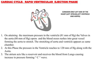 Cardiac cycle-Cardiac cycle - A Small Glimpses | PPT