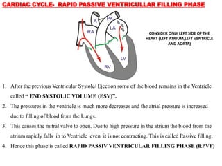 Cardiac cycle-Cardiac cycle - A Small Glimpses | PPT