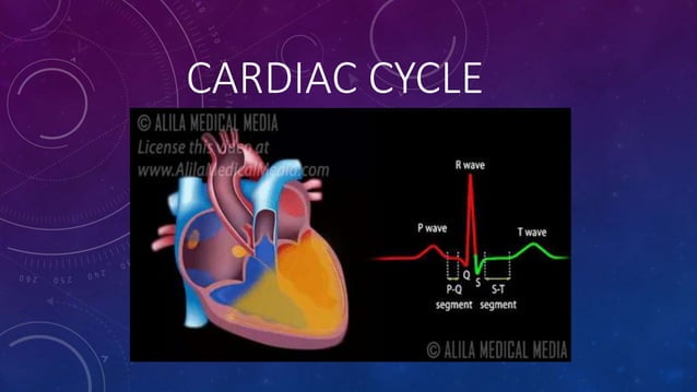 Cardiac cycle | PPT
