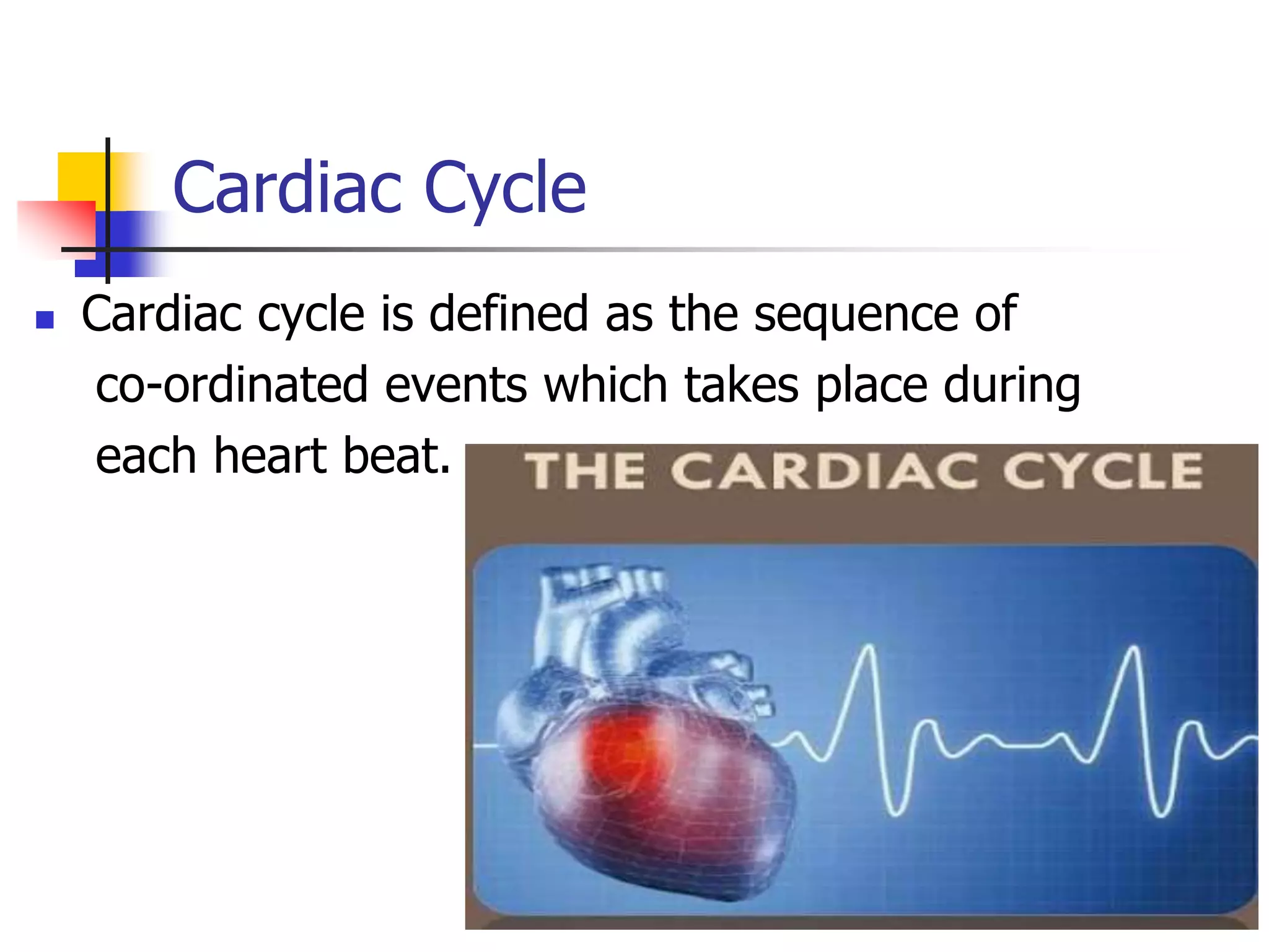 Cardiac cycle | PPT