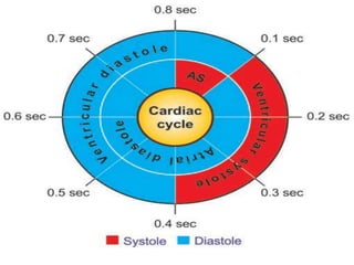 Cardiac cycle | PPT | Heart and Cardiovascular Diseases | Diseases and ...