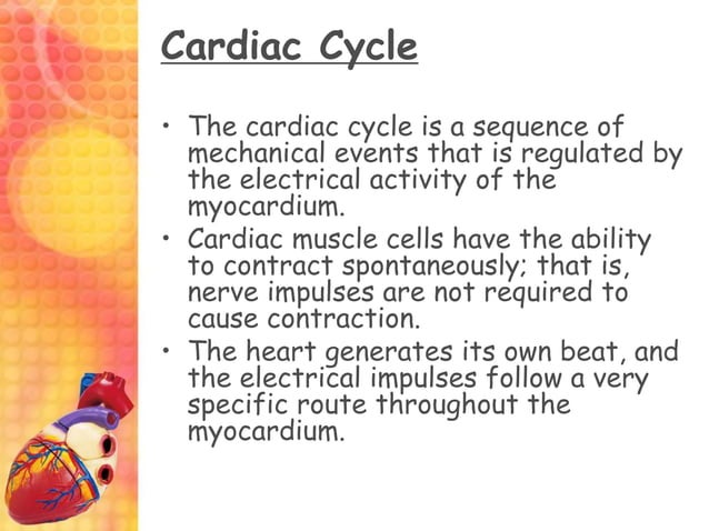 Cardiac cycle | PPT | Heart and Cardiovascular Diseases | Diseases and ...