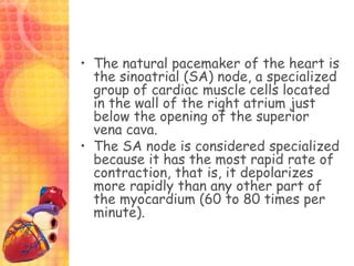 Cardiac cycle | PPT | Heart and Cardiovascular Diseases | Diseases and ...