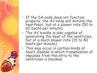 Cardiac cycle | PPT