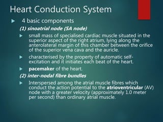 Cardiac cycle | PPT