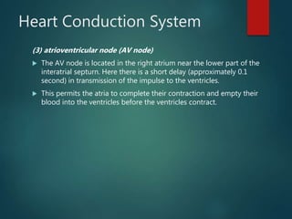 Cardiac cycle | PPT