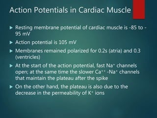 Cardiac cycle | PPT