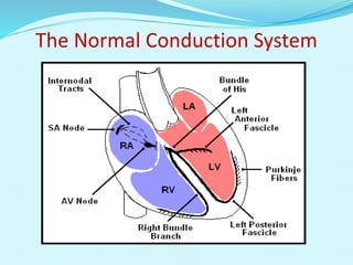 Cardiac cycle | PPTX | Heart and Cardiovascular Diseases | Diseases and ...