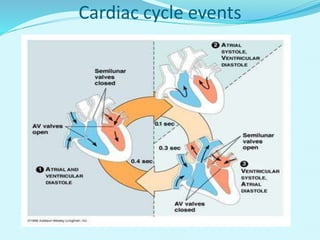 Cardiac cycle | PPTX | Heart and Cardiovascular Diseases | Diseases and ...