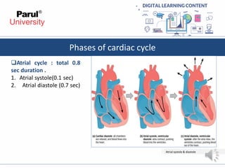 Cardiac cycle | PPT