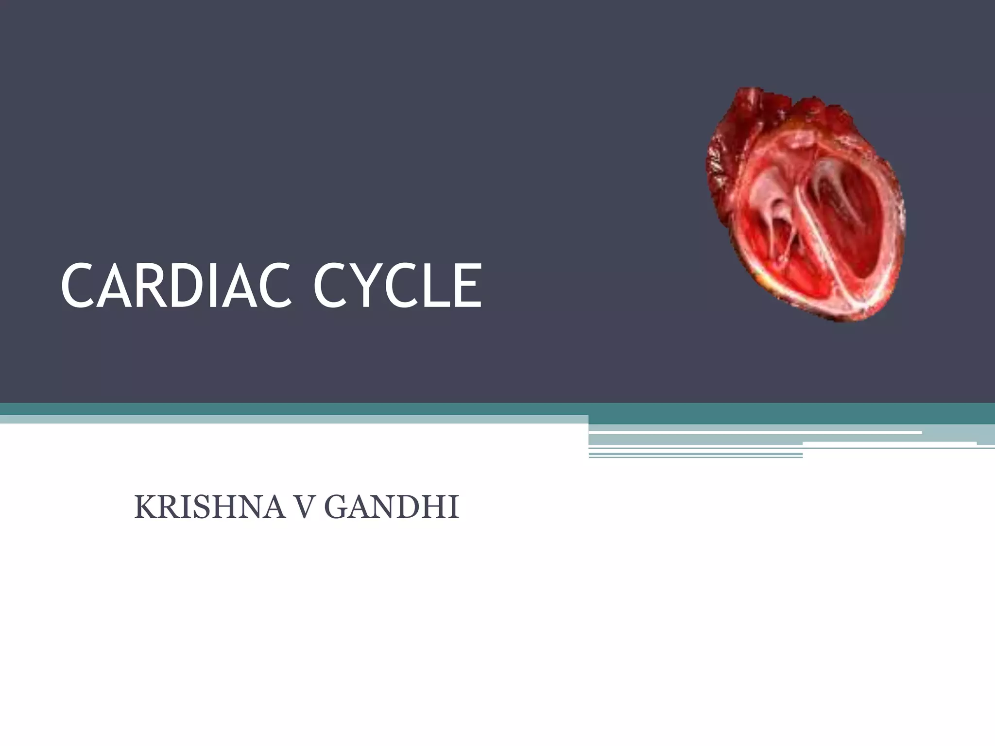Cardiac cycle | PPT