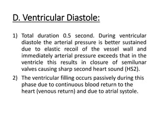 Ventricular Diastole