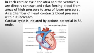 cardiac cycle.pptx