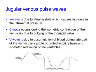 CARDIAC CYCLE.pptx