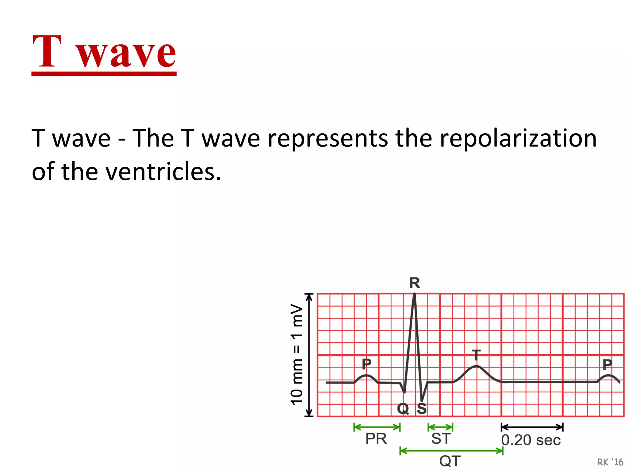 Cardiac cycle.pdf