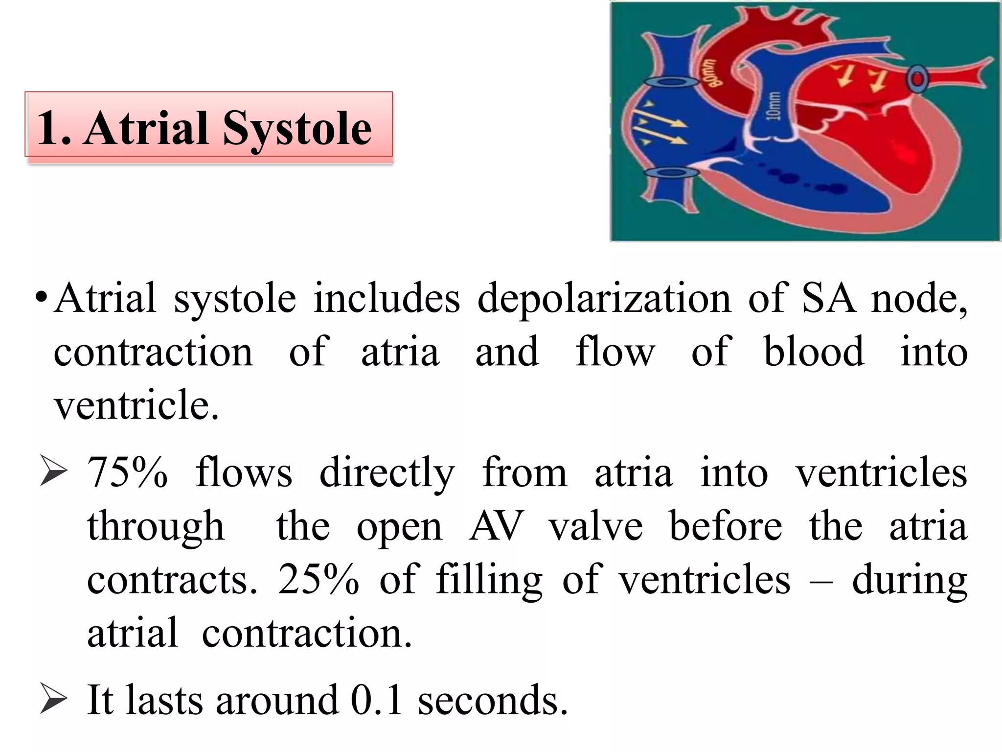 Cardiac cycle.pdf