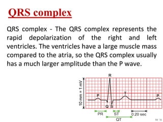 Cardiac cycle.pdf