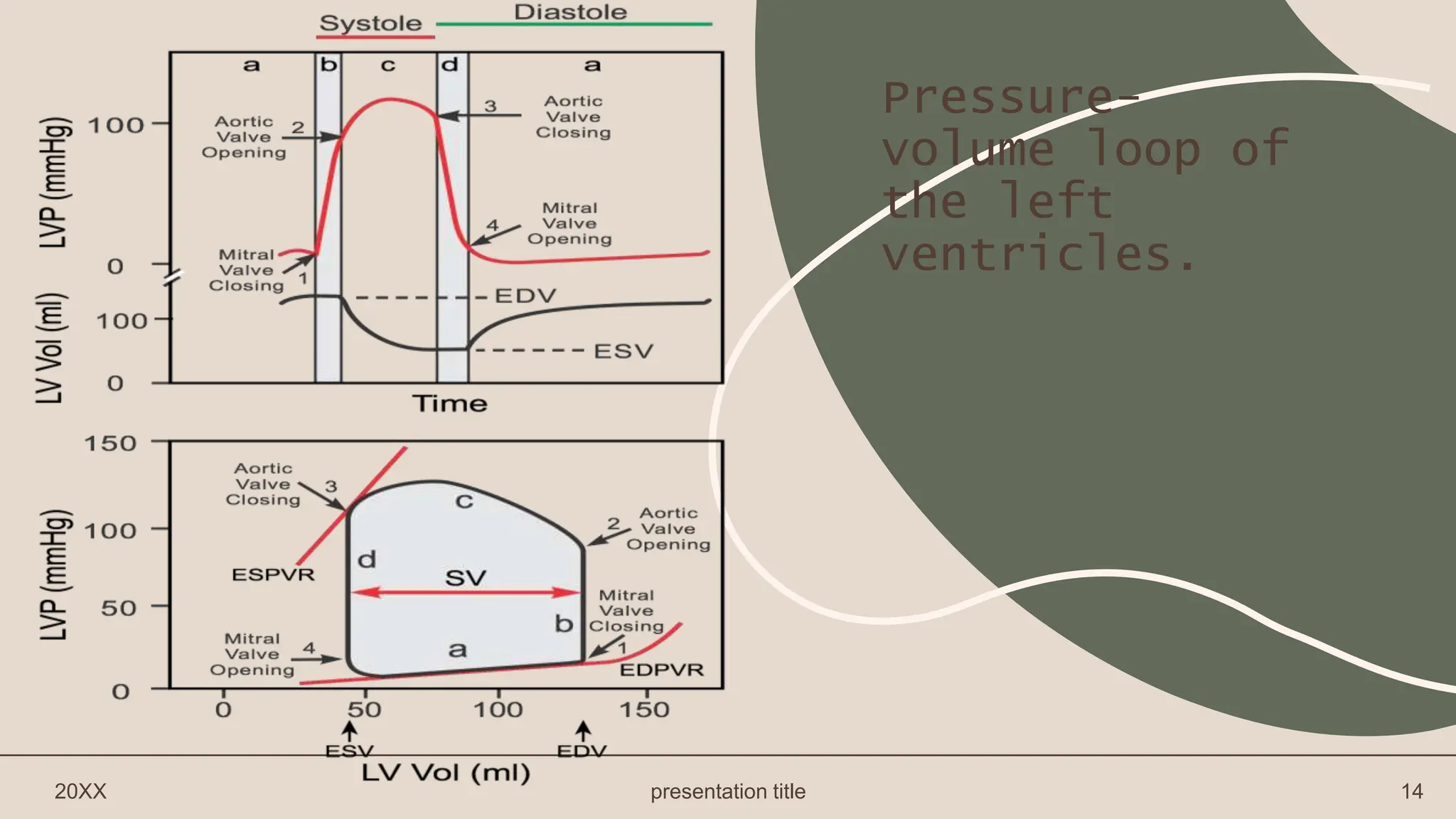Cardiac Cycle.pptx