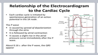 HUMAN CARDIAC CYCLE .presentation cardiology | PPTX