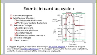 HUMAN CARDIAC CYCLE .presentation cardiology | PPT
