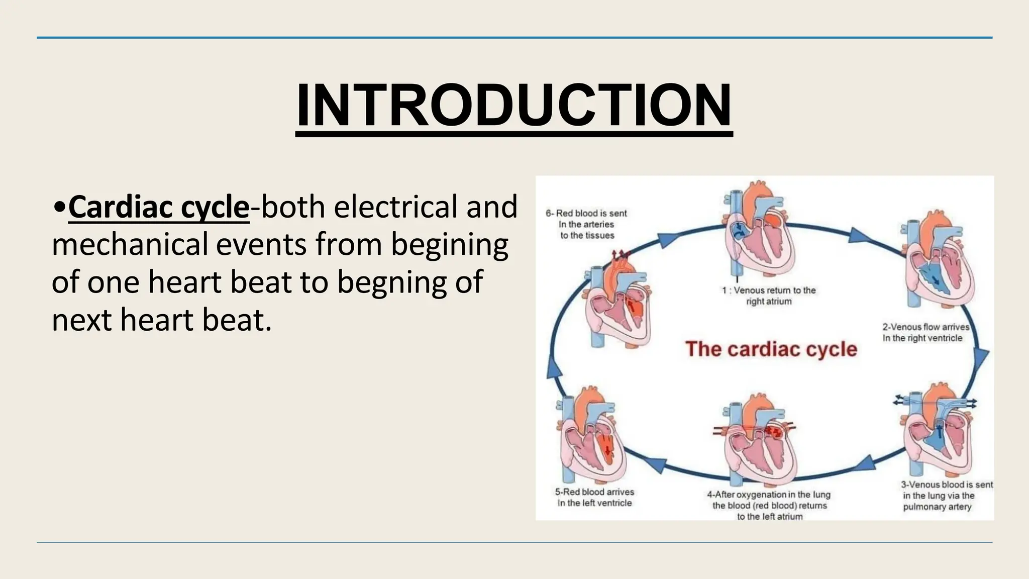 Cardiac cycle of heart in physiology pdf | PDF