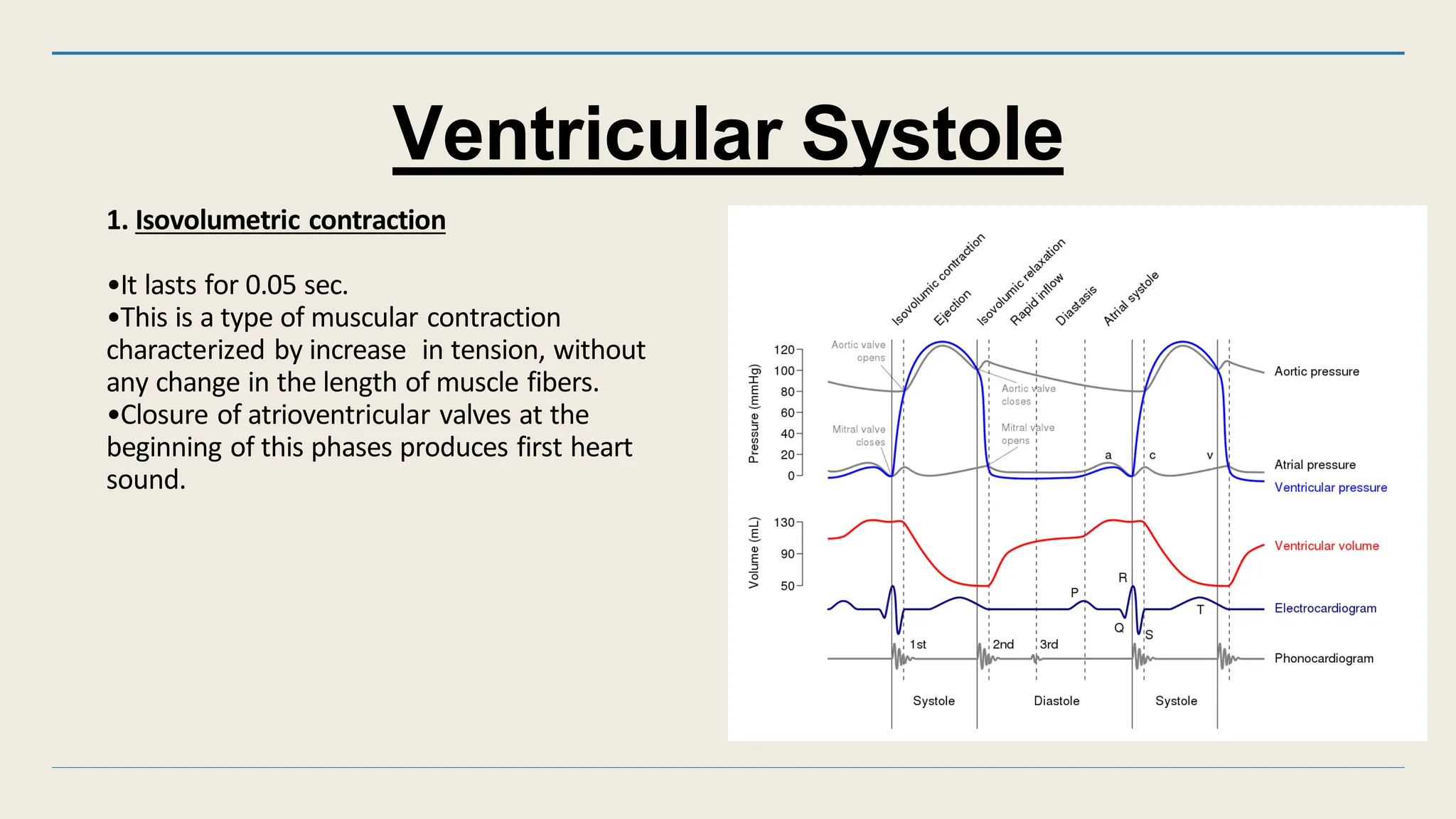 Cardiac cycle of heart in physiology pdf | PDF