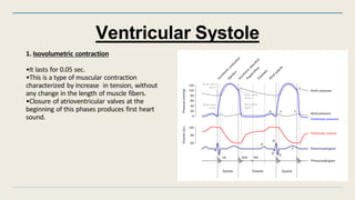 Cardiac cycle of heart in physiology pdf | PDF