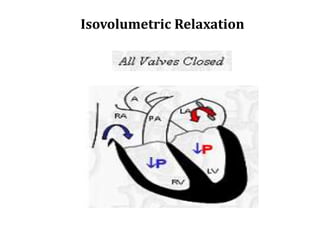 Cardiac Cycle and its various phases shown | PPT