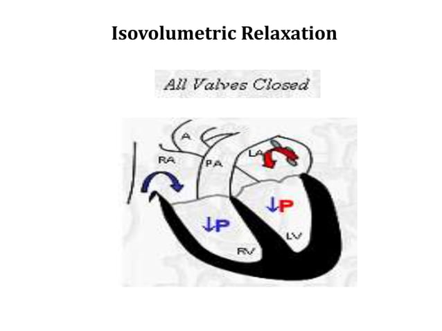 Cardiac Cycle and its various phases shown | PPT