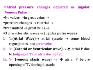 Cardiac Cycle and its various phases shown | PPTX