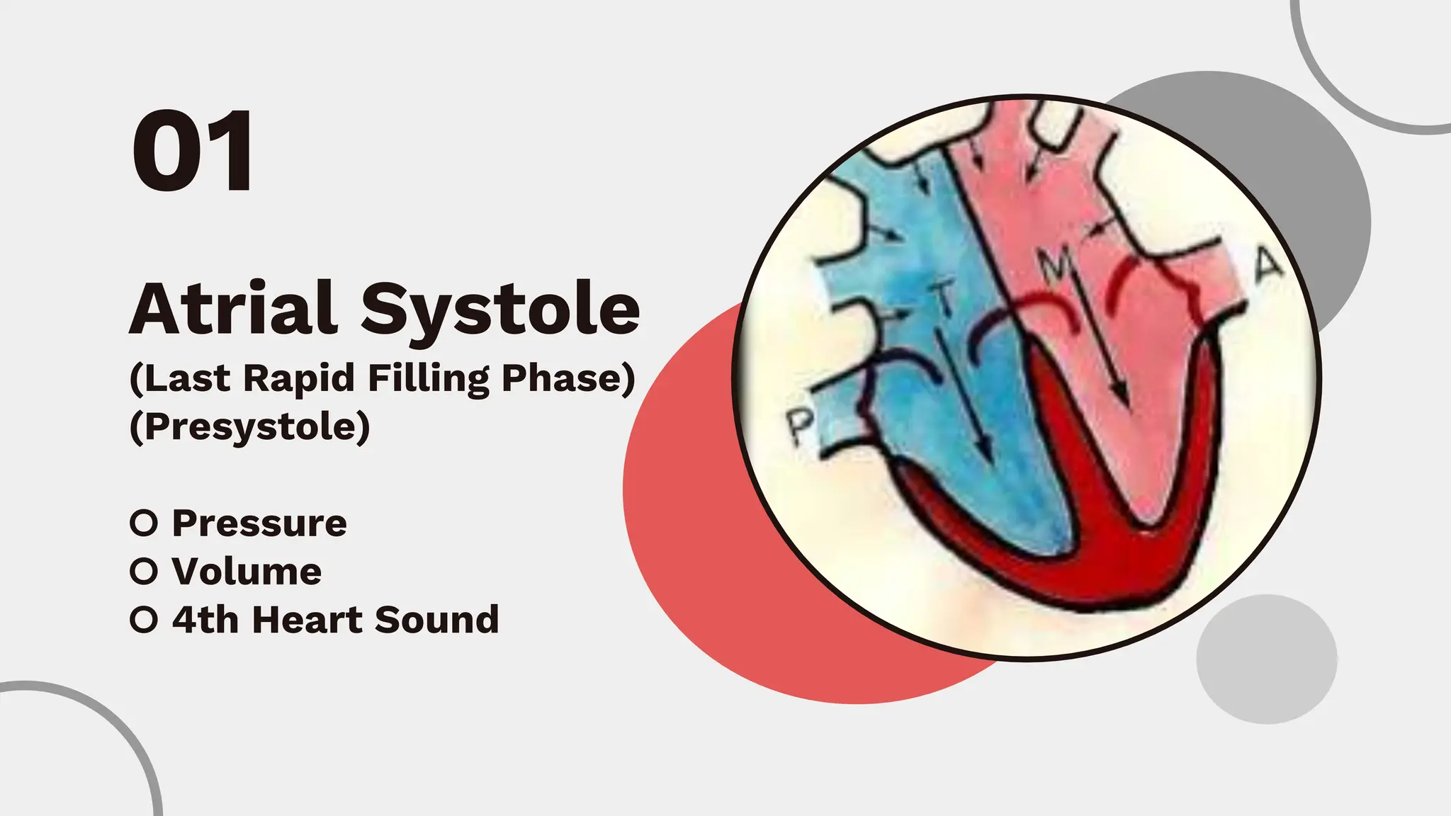 Cardiac Cycle; Best Slide for Presentation | PPTX
