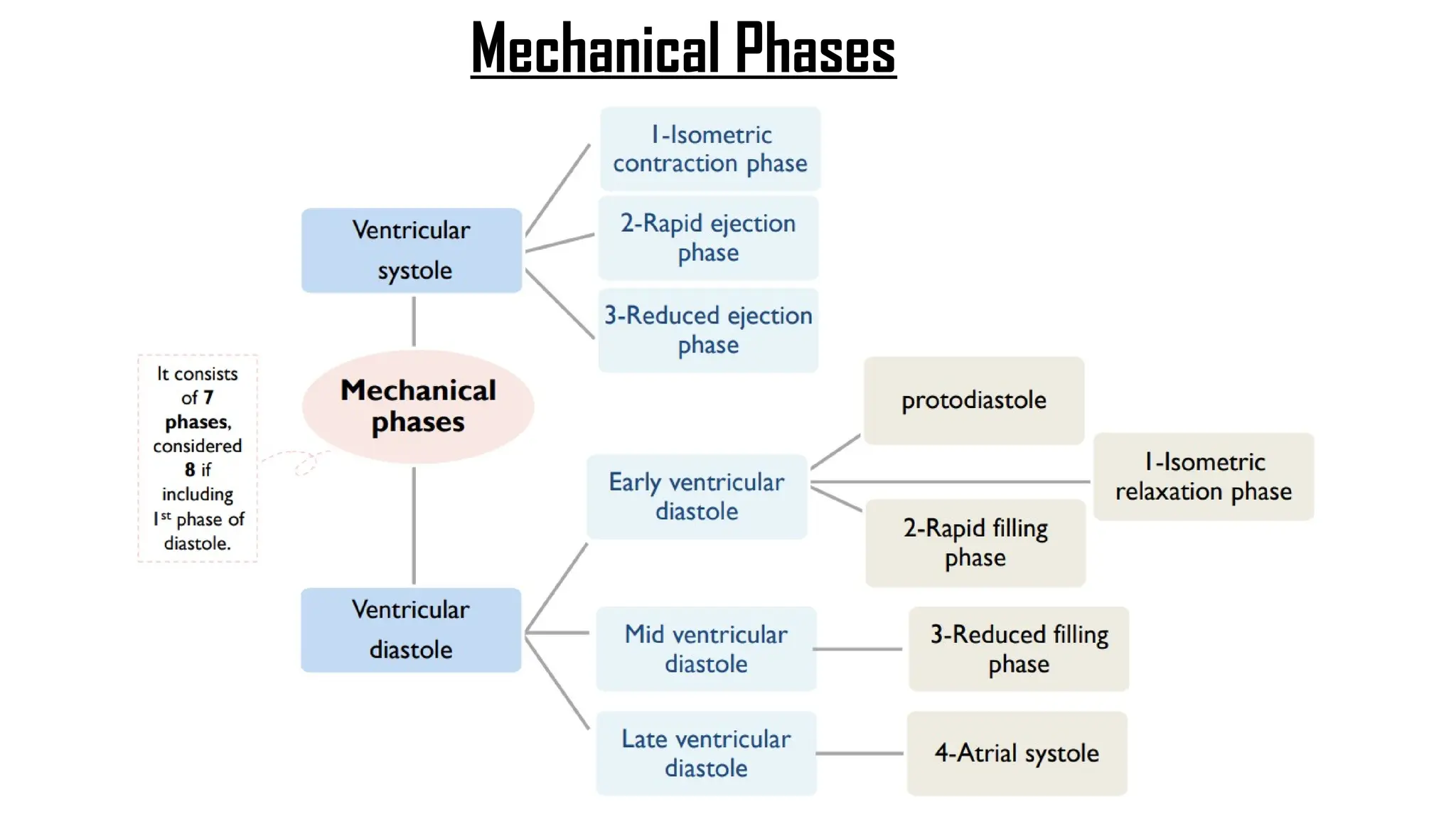 cardiac cycle basics and anesthetic implication | PPTX