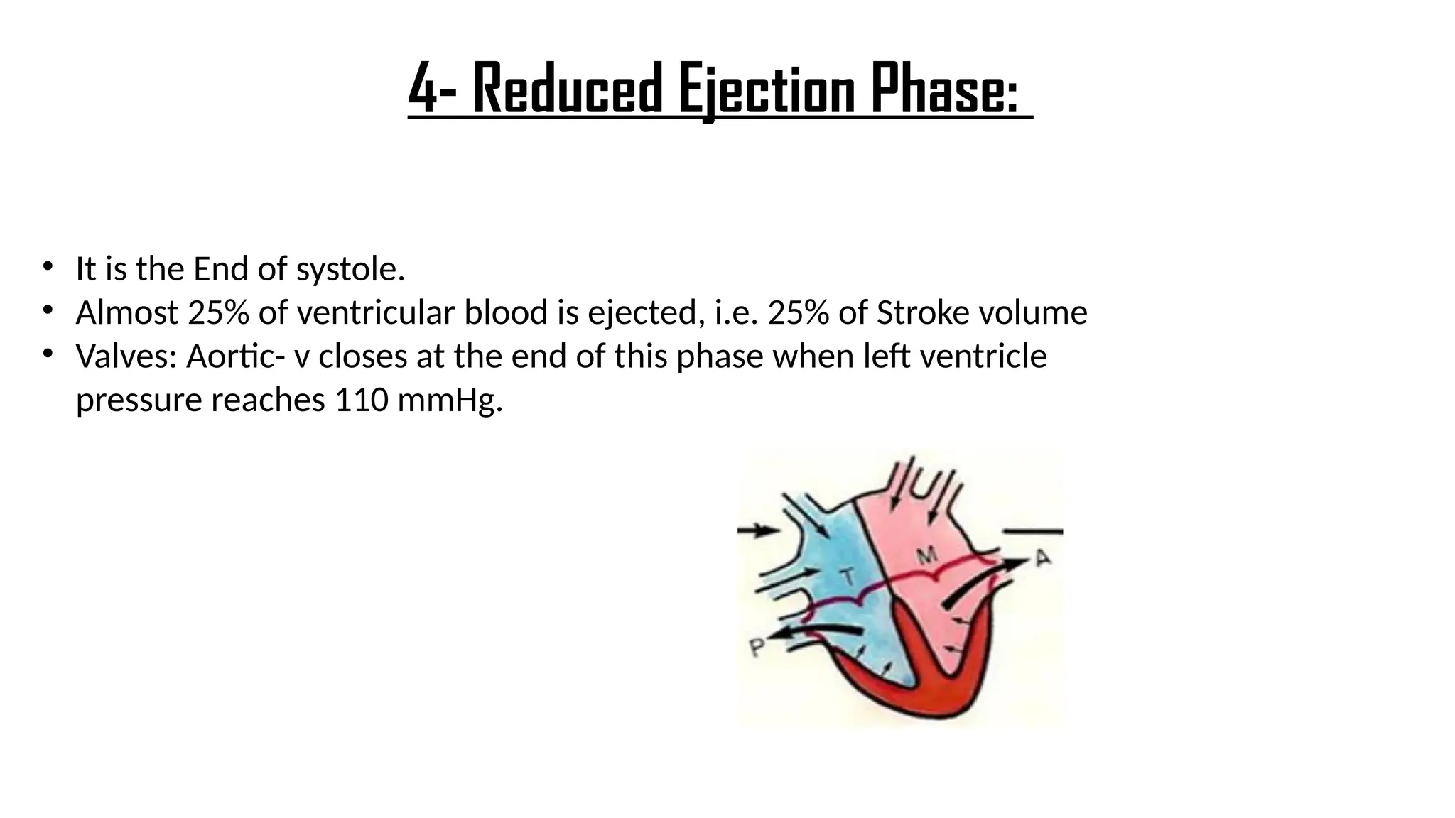 cardiac cycle basics and anesthetic implication | PPTX